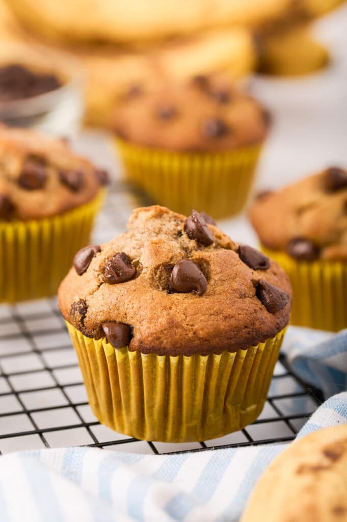 Chocolate Chip Banana Muffins (30 Minutes!) - Girl Gone Gourmet